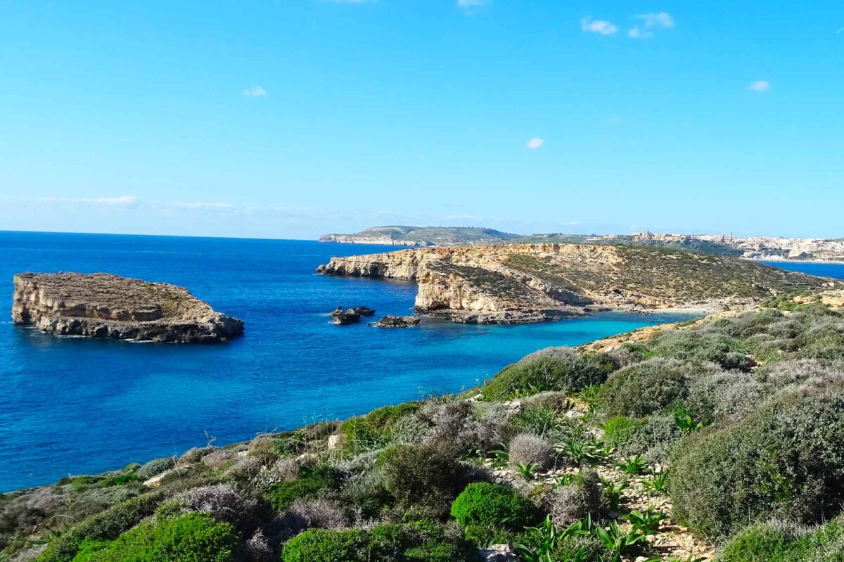 Malta’s plant pathways - Mappae | Medicinal and Aromatic Plants ...